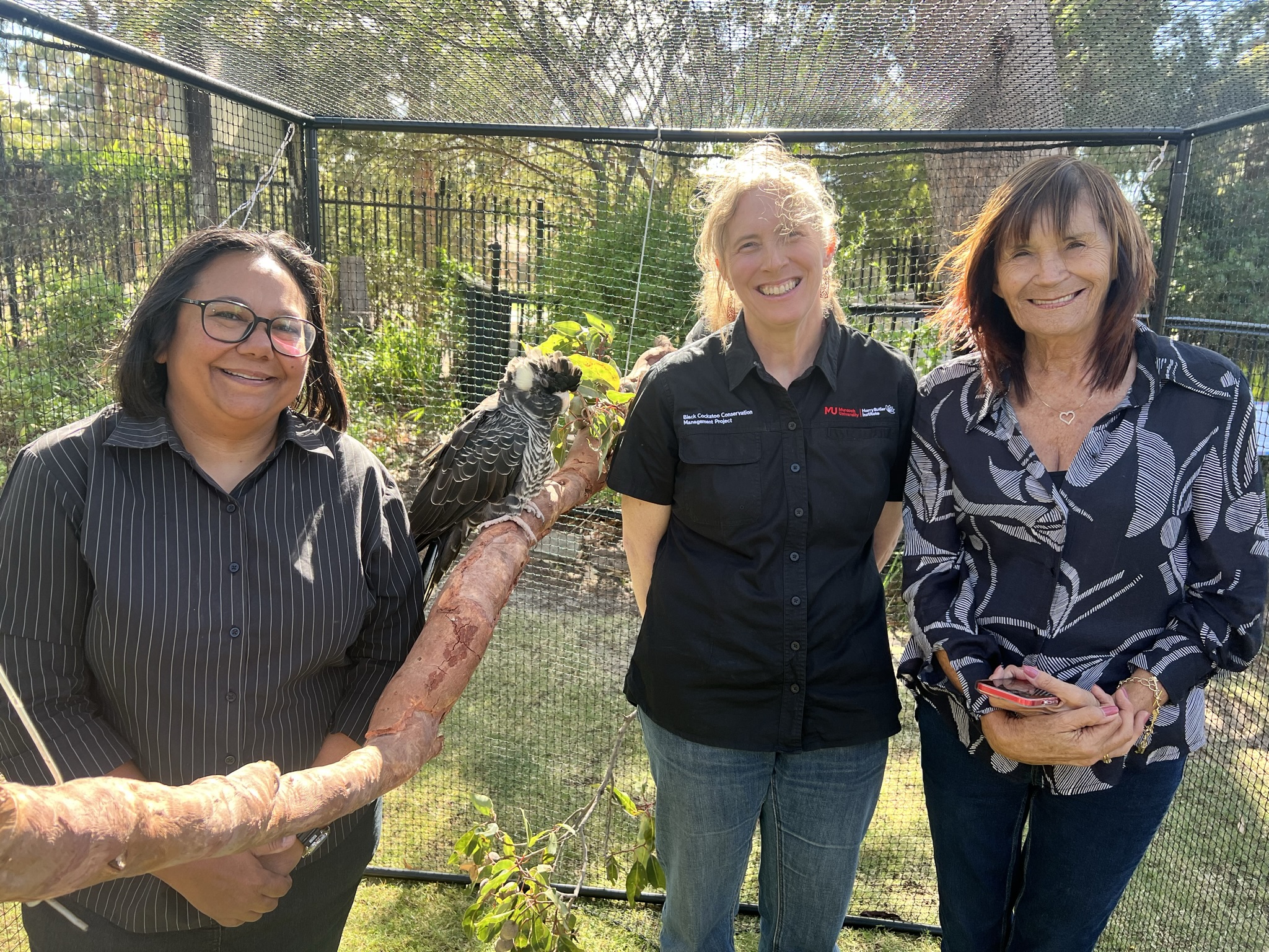Call to arms: Collect cockatoo poo to save species - Quenda - Quenda